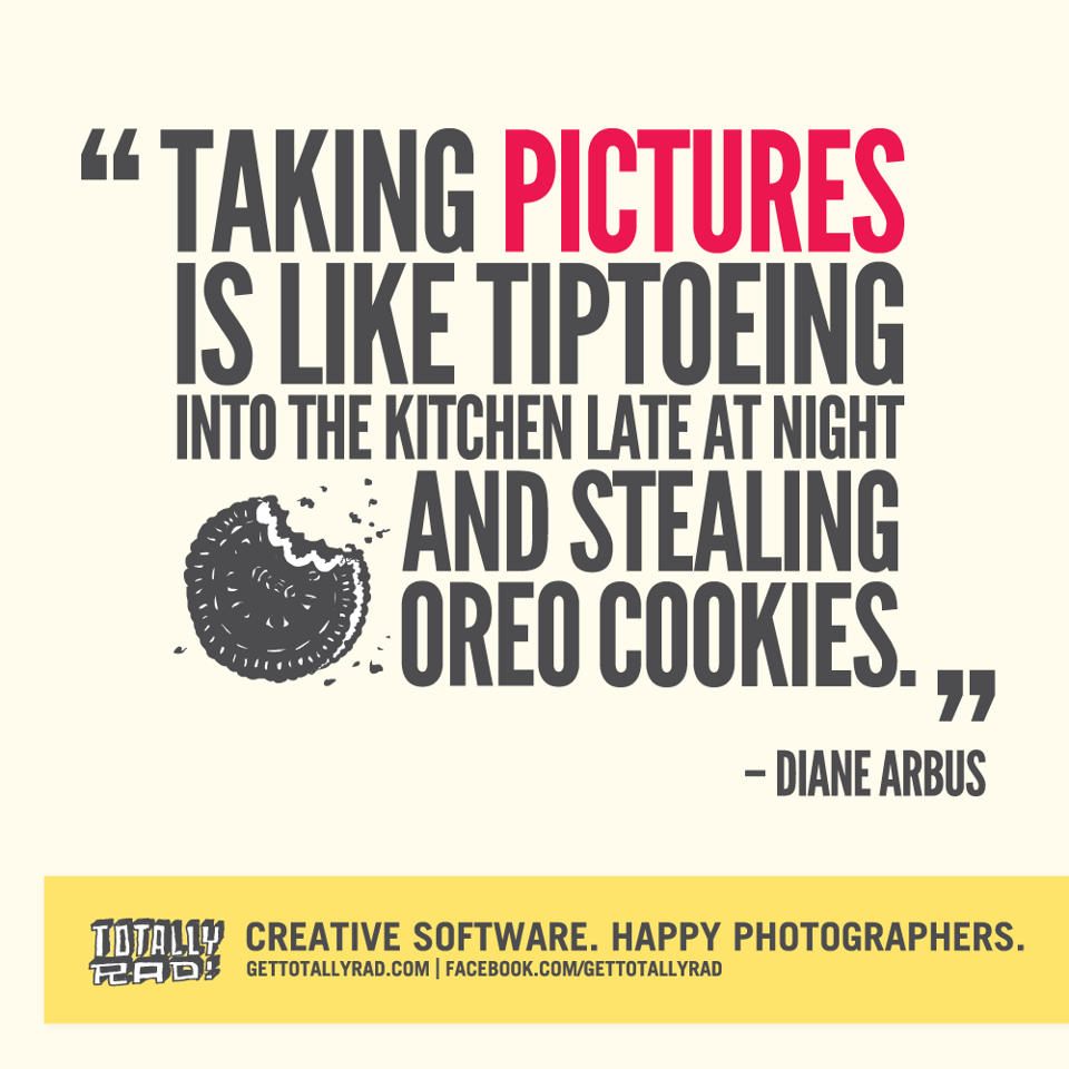 25 Photography Jokes, Quotes and Cartoons | Rainy Day Reflections