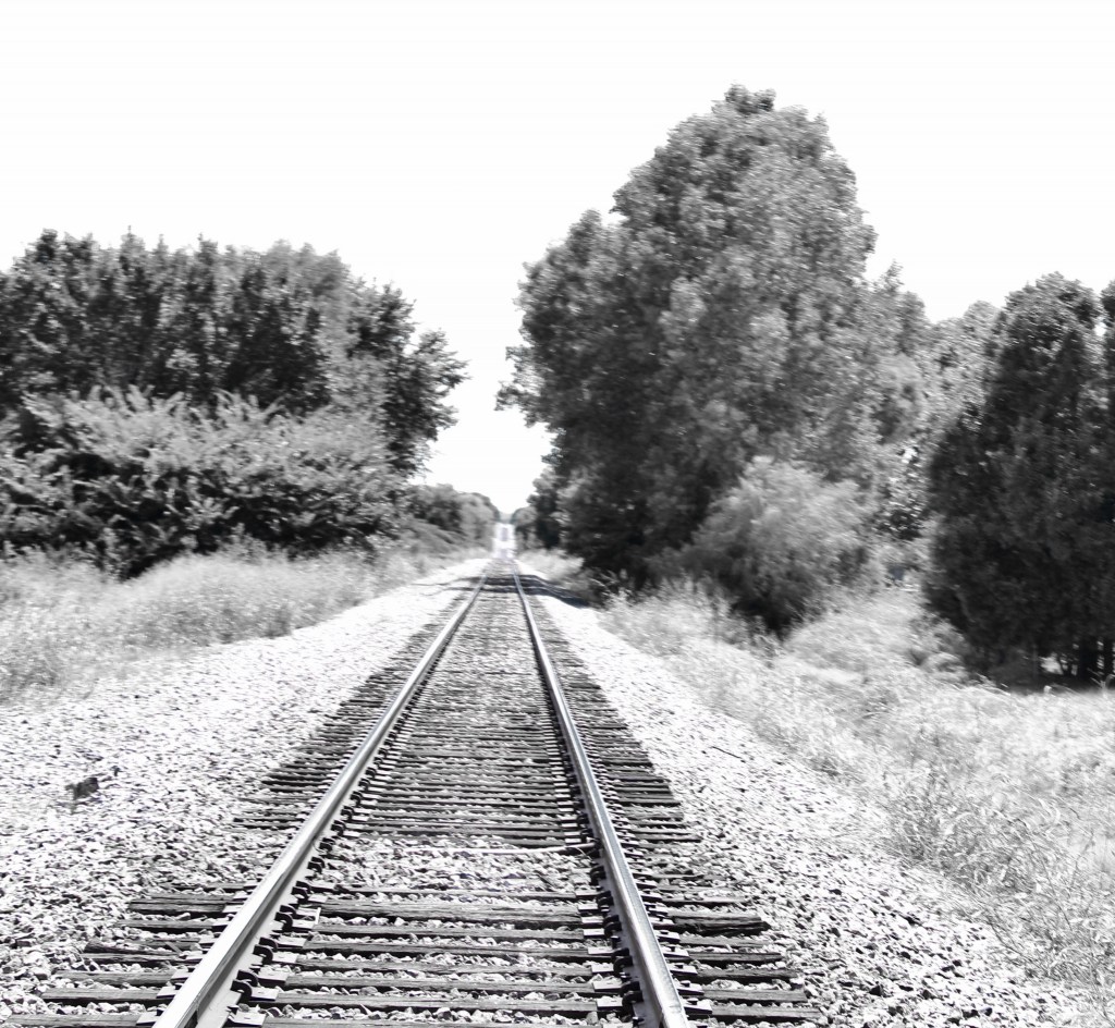 Riding the Rails | Rainy Day Reflections