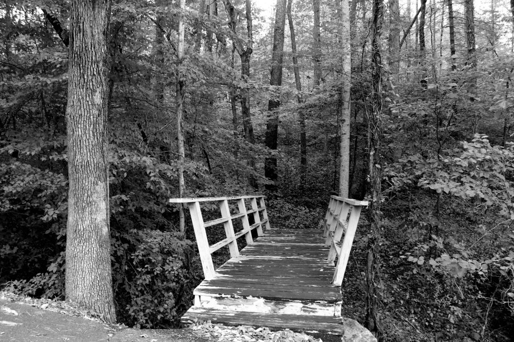 Little White Bridge | Rainy Day Reflections